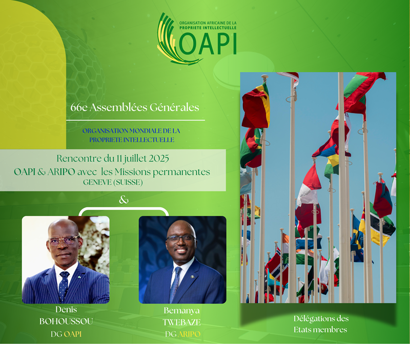 OAPI e ARIPO: uma mesma voz para moldar o futuro da propriedade intelectual na África - oapi