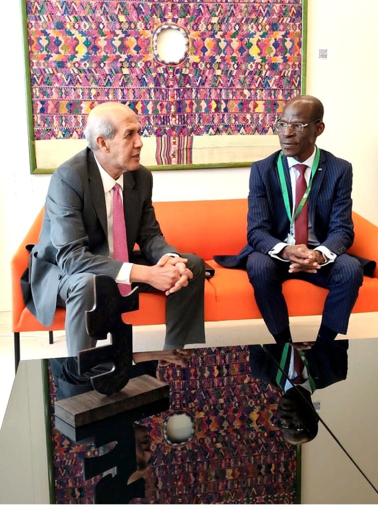 OAPI/OMPI-OAPI/OPIC: الشراكات المعززة في خدمة الابتكار والملكية الفكرية (PI). - OAPI