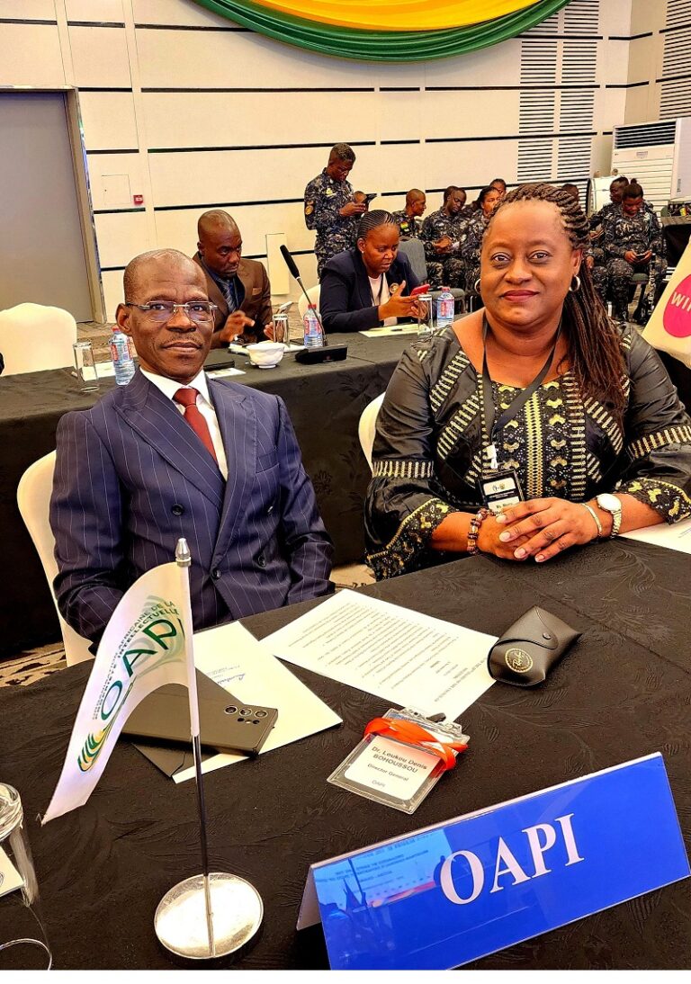 La OAPI y la ARIPO fortalecen su cooperación para una África innovadora ...