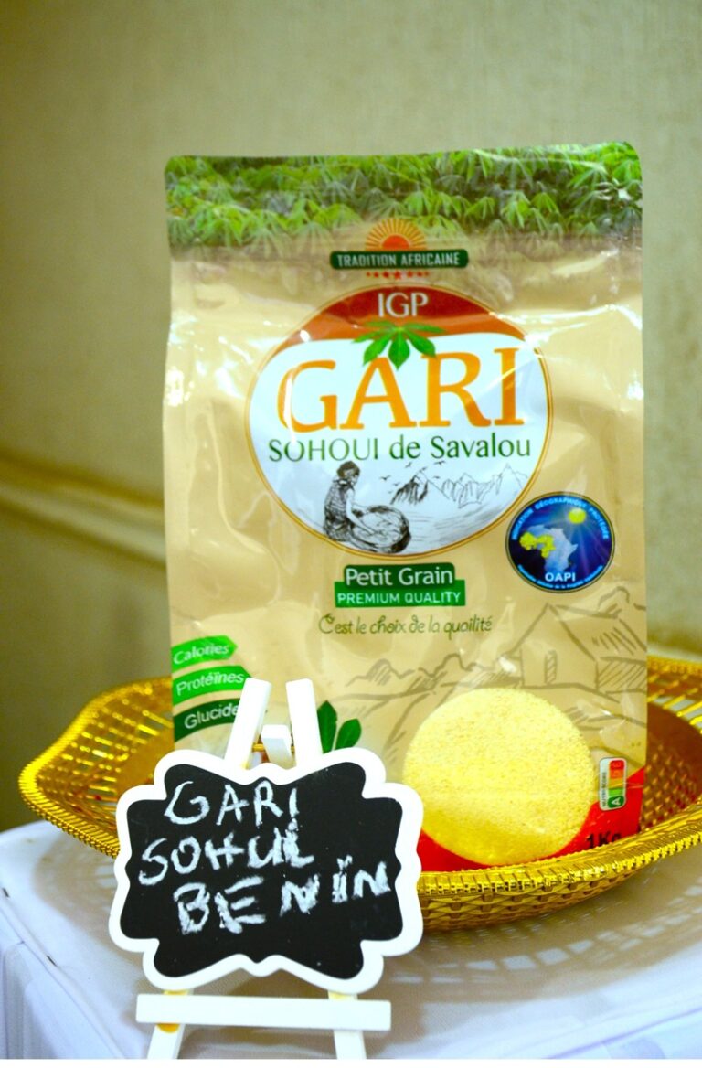 Clôture de la 2e phase du PAMPIG : un succès pour les Indications Géographiques dans l’espace ...